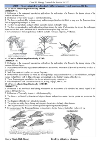 XII K V Biology Practicals 2023-24.pdf.o | PDF