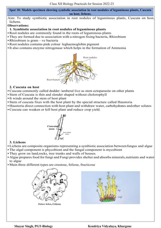 XII K V Biology Practicals 2023-24.pdf.o | PDF