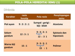 Biologi XII SMA - Semu Mendel | PPT