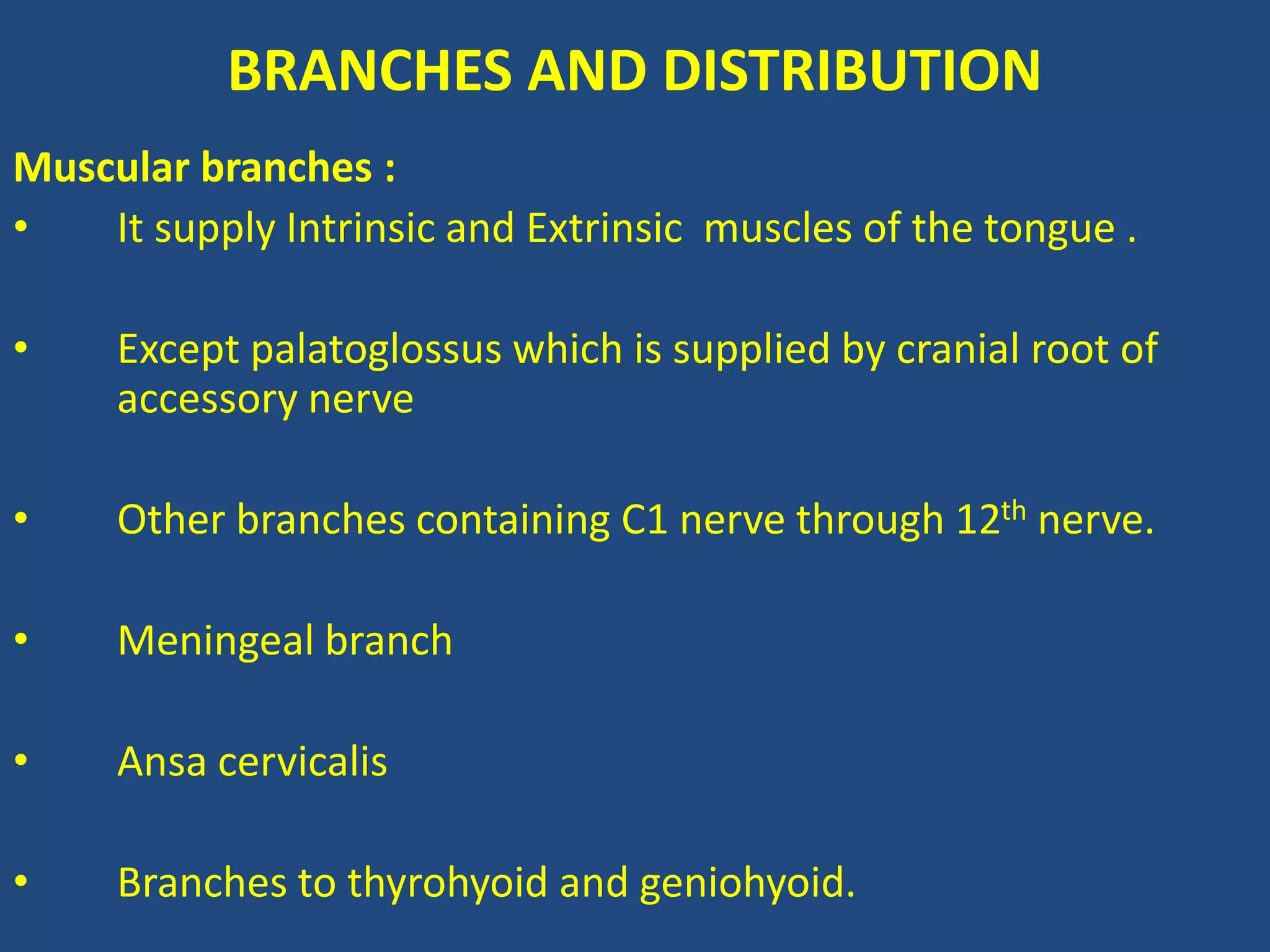 HYPOGLOSSAL NERVE | PPTX