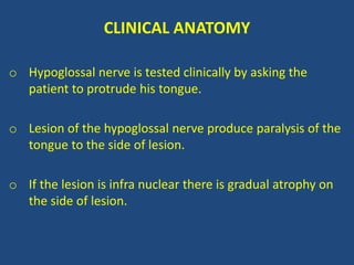 HYPOGLOSSAL NERVE | PPTX