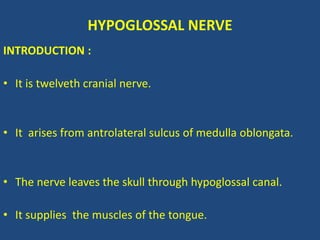 HYPOGLOSSAL NERVE | PPTX