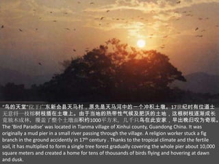 Xinhui bird paradise | PPTX