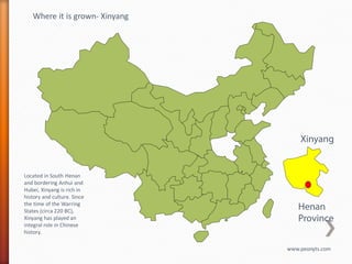 Xinyang | PDF