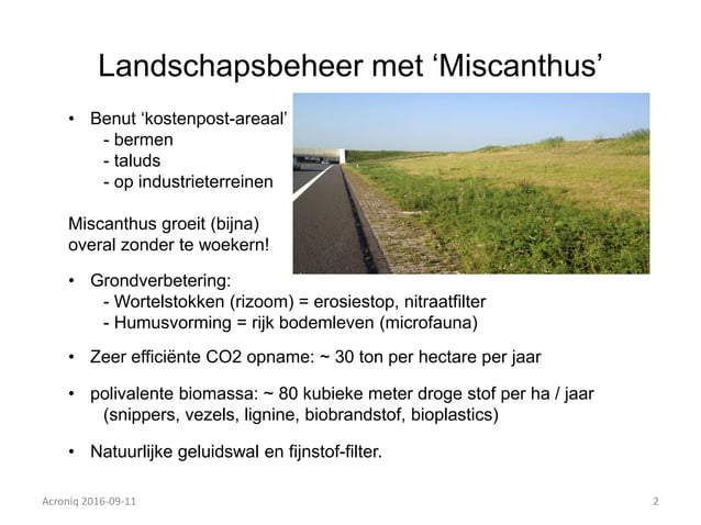 Olifantsgras | miscanthus | Xiriton technologie | inspiratiepagina | PDF