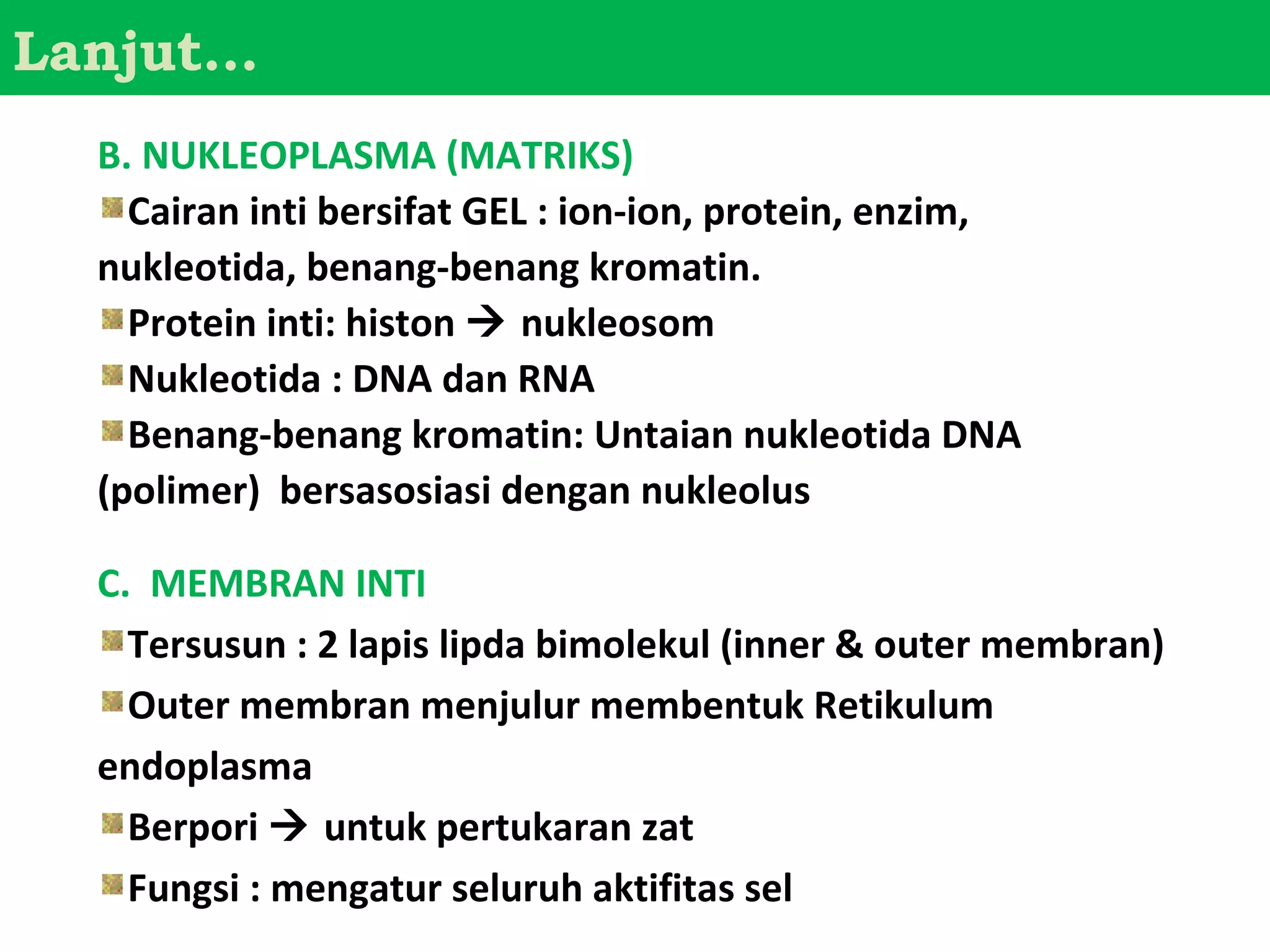 Biologi Sel kelas XI | PPT