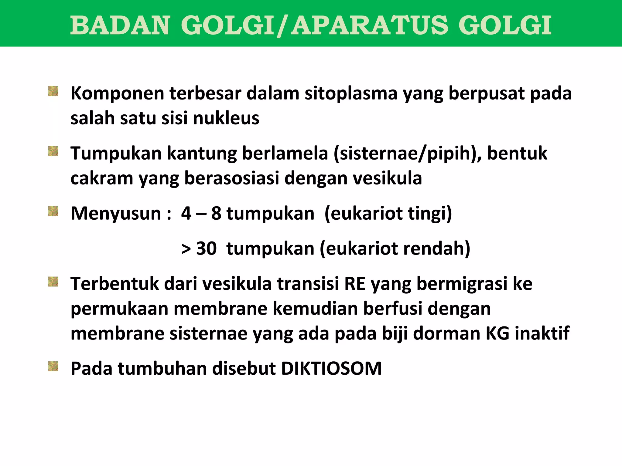 Biologi Sel kelas XI | PPT