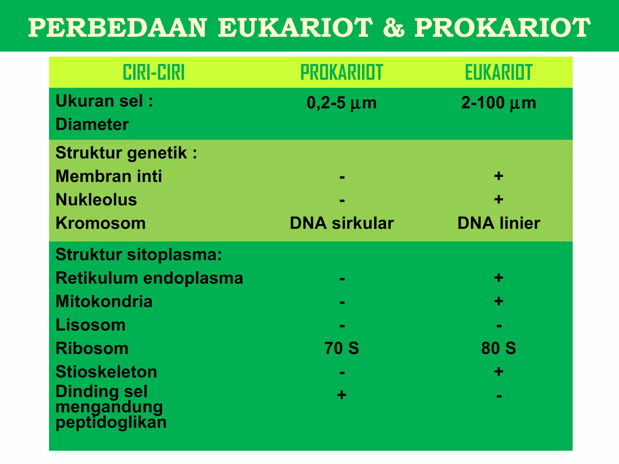 Biologi Sel kelas XI | PPT