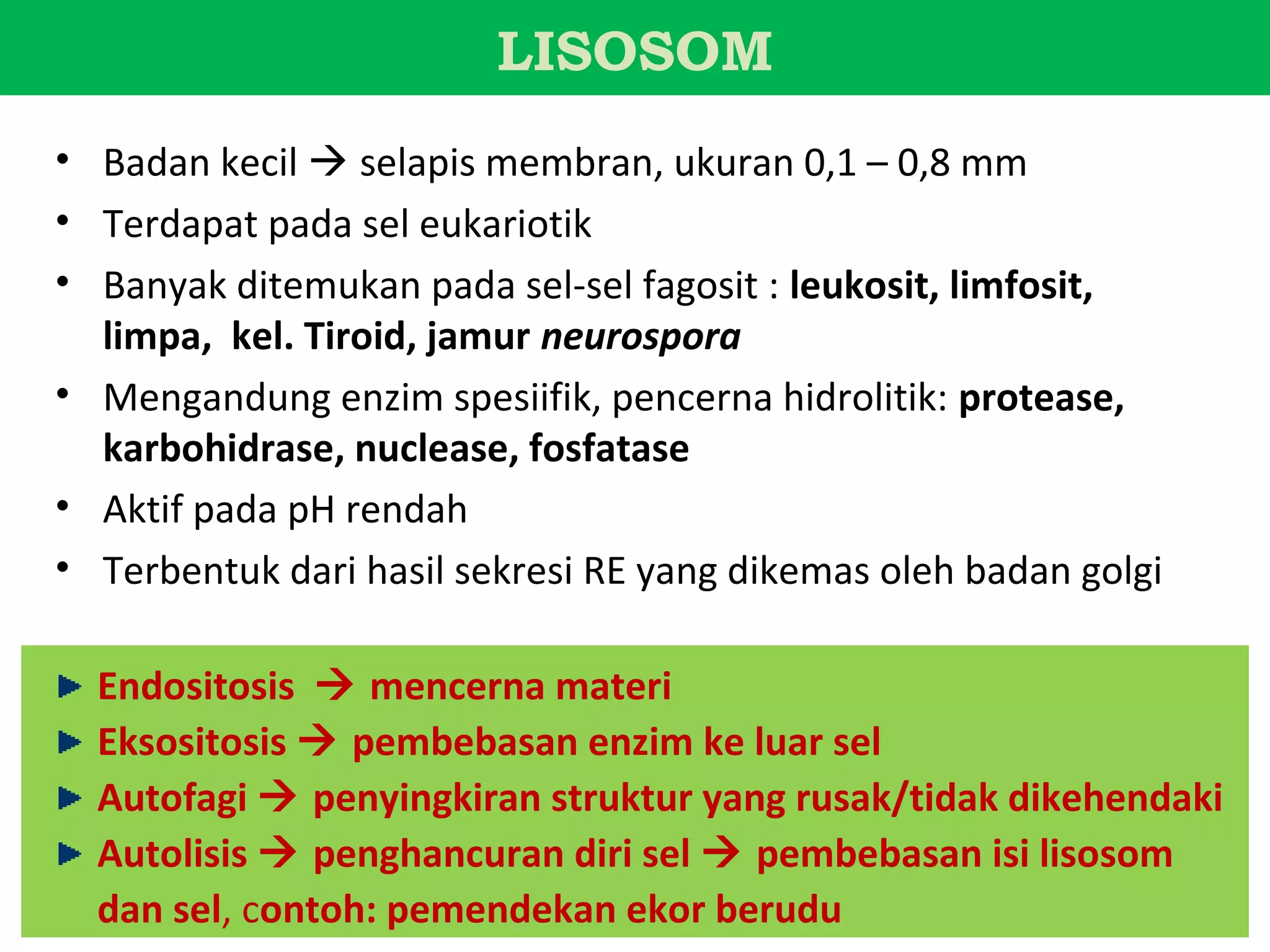 Biologi Sel kelas XI | PPT