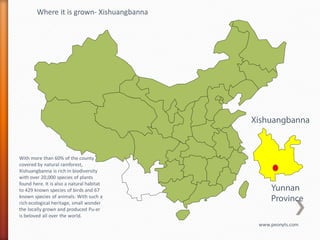 Xishuangbanna | PPT