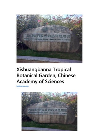 Xishuangbanna tropical botanical garden, chinese academy of sciences | PDF
