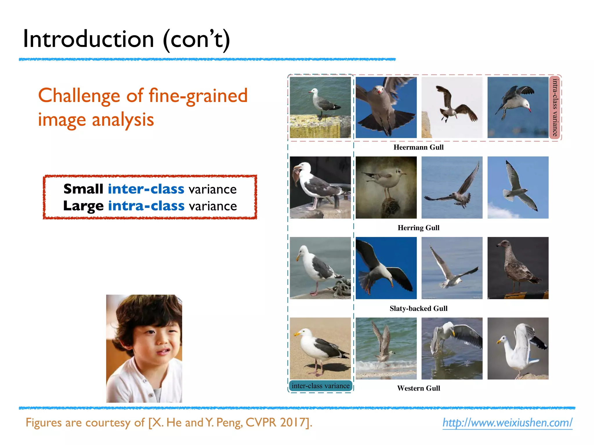Object Detection Beyond Mask R-CNN and RetinaNet III | PPT