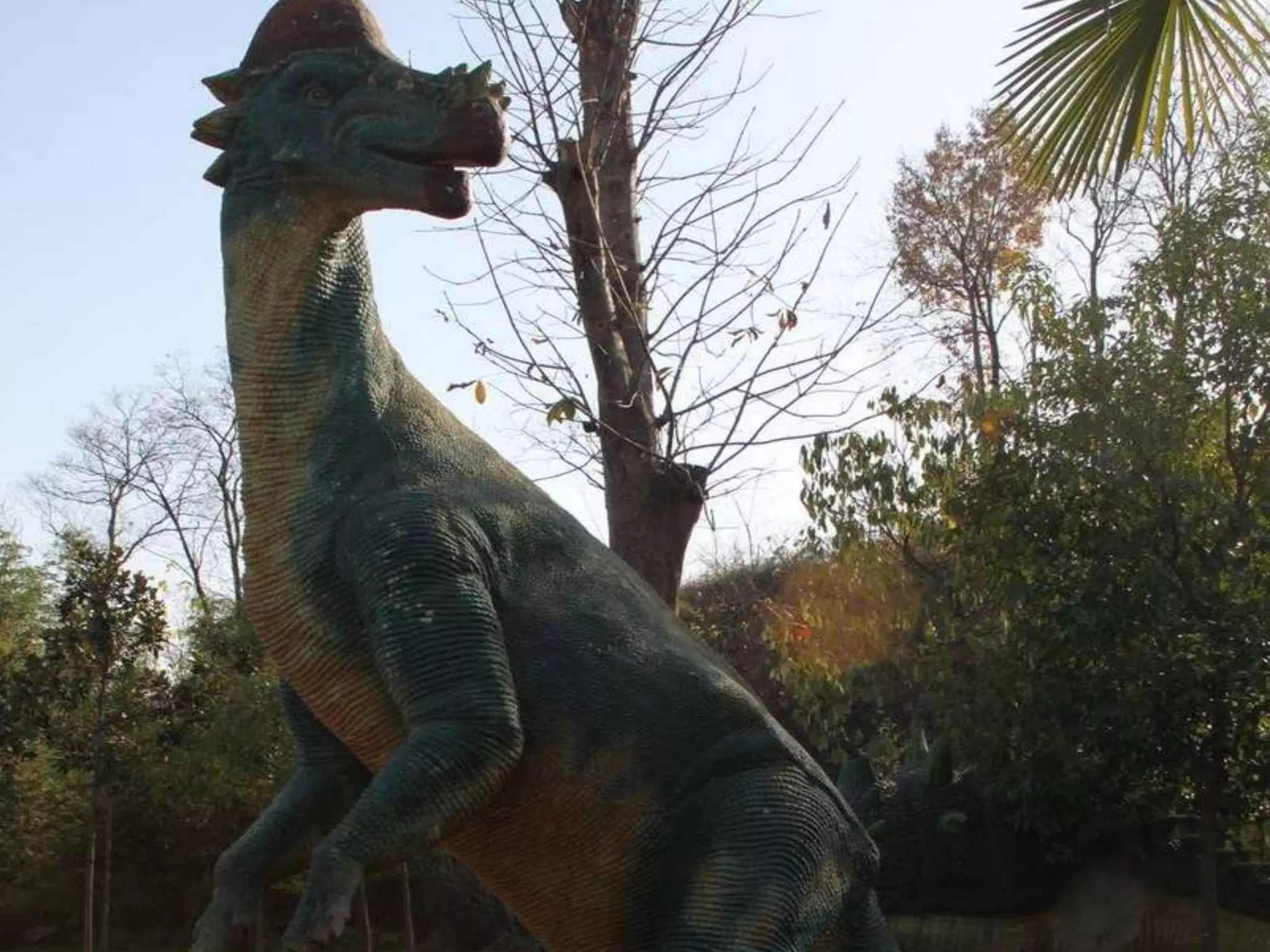 XIXIA dinosaur park- Nanyang -Henan-CHINA | PPSX