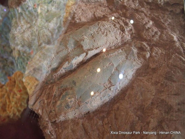 XIXIA dinosaur park- Nanyang -Henan-CHINA | PPSX