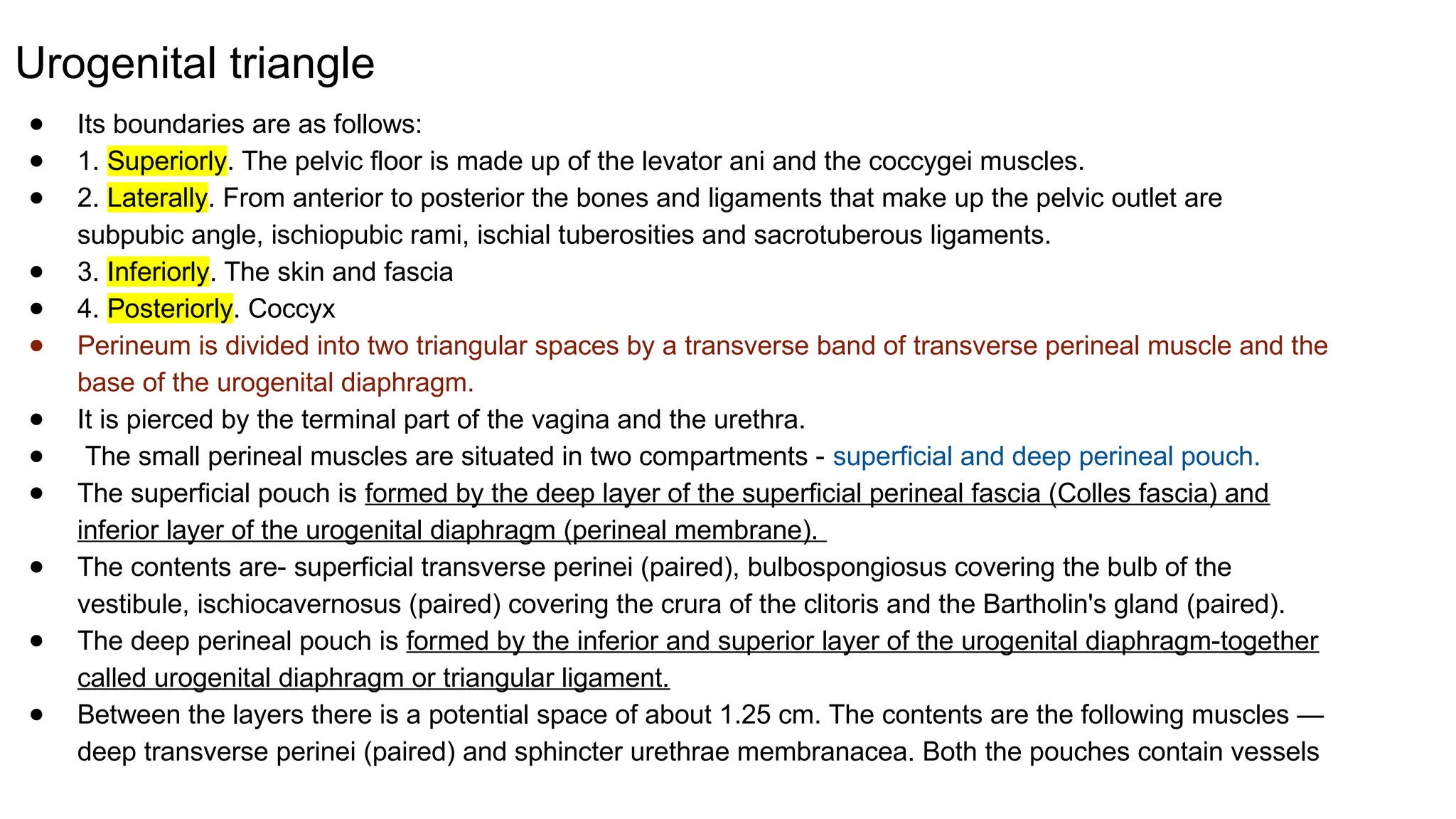 Anatomy_ of_Female_ pelvic_ organs.pptx. | PPTX