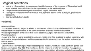 Anatomy_ of_Female_ pelvic_ organs.pptx. | PPTX