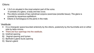 Anatomy_ of_Female_ pelvic_ organs.pptx. | PPTX