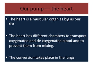 Heart | PPT