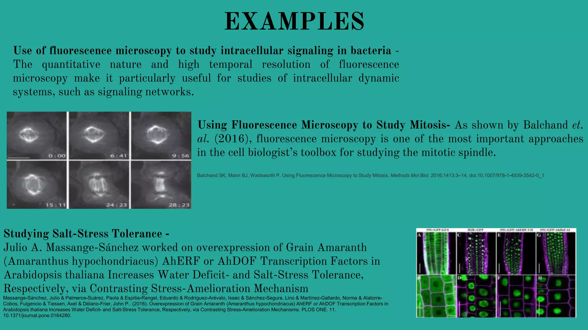 Fluorescence Microscopy | PPTX