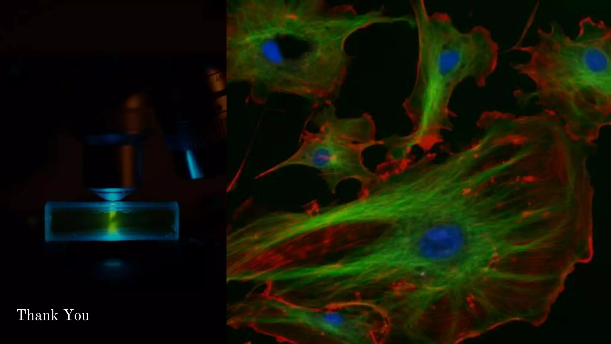 Fluorescence Microscopy | PPTX