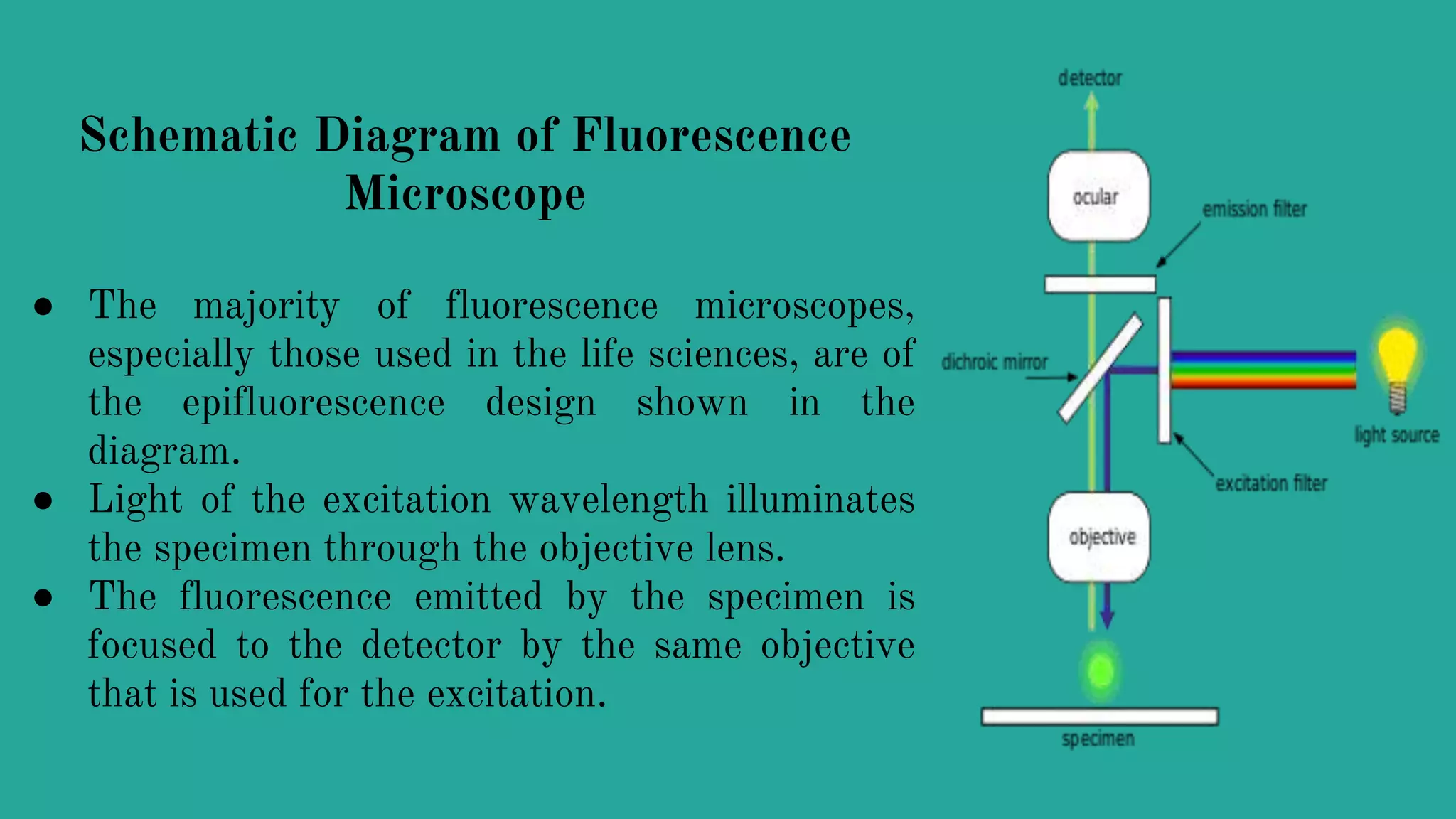 Fluorescence Microscopy | PPTX