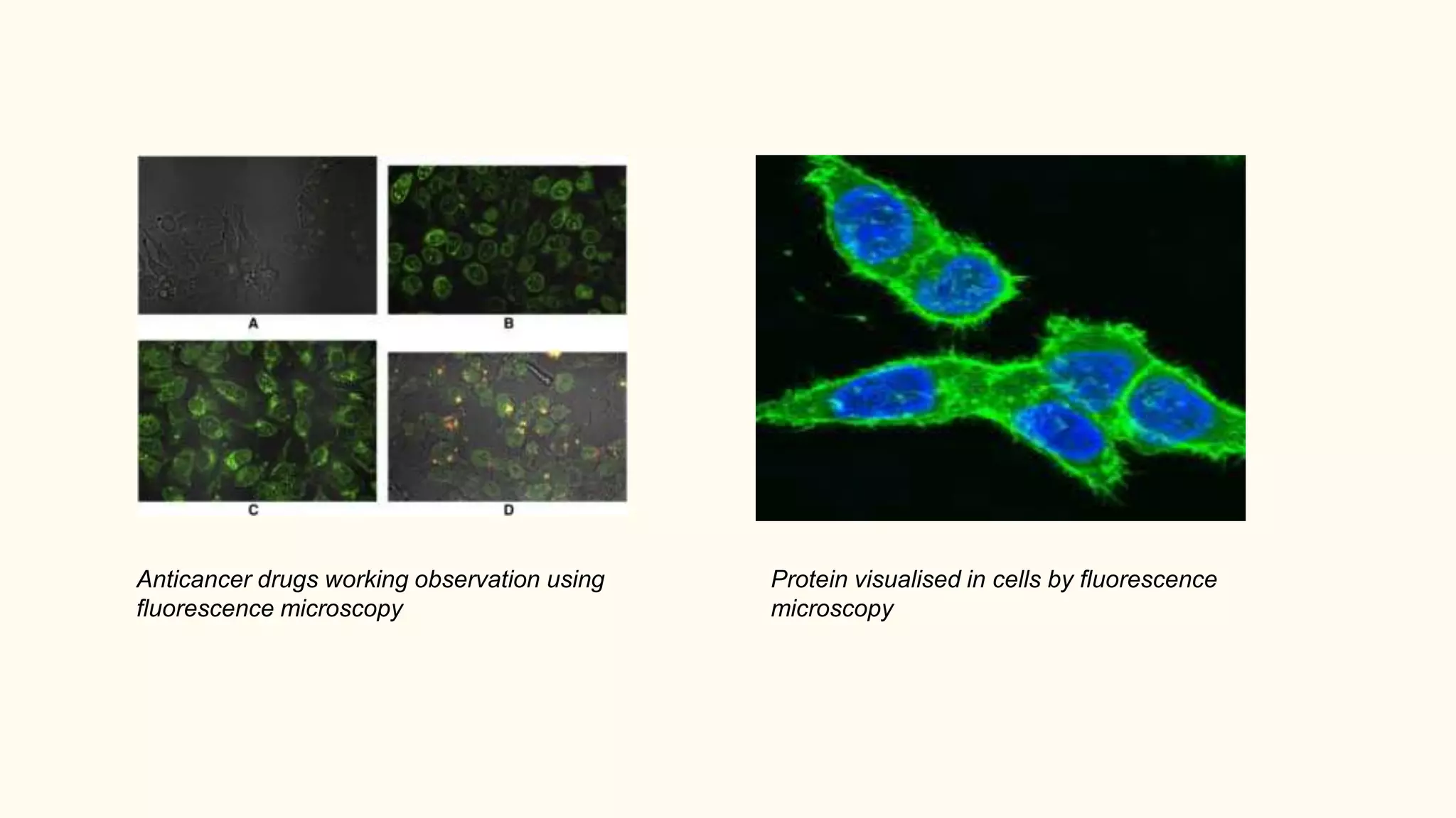 Fluorescence Microscopy | PPTX