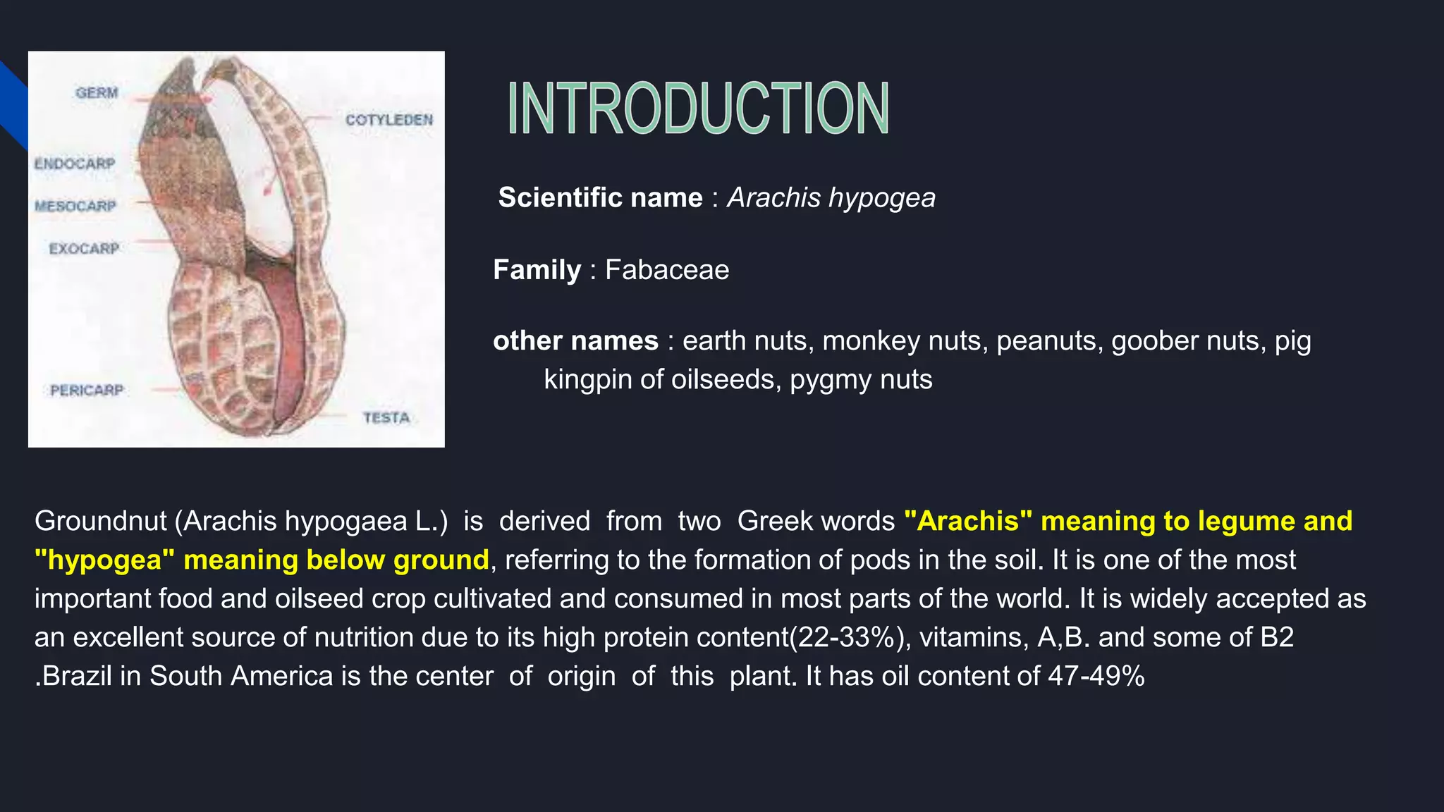 PRODUCTION TECHNOLOGY OF GROUNDNUT | PPTX