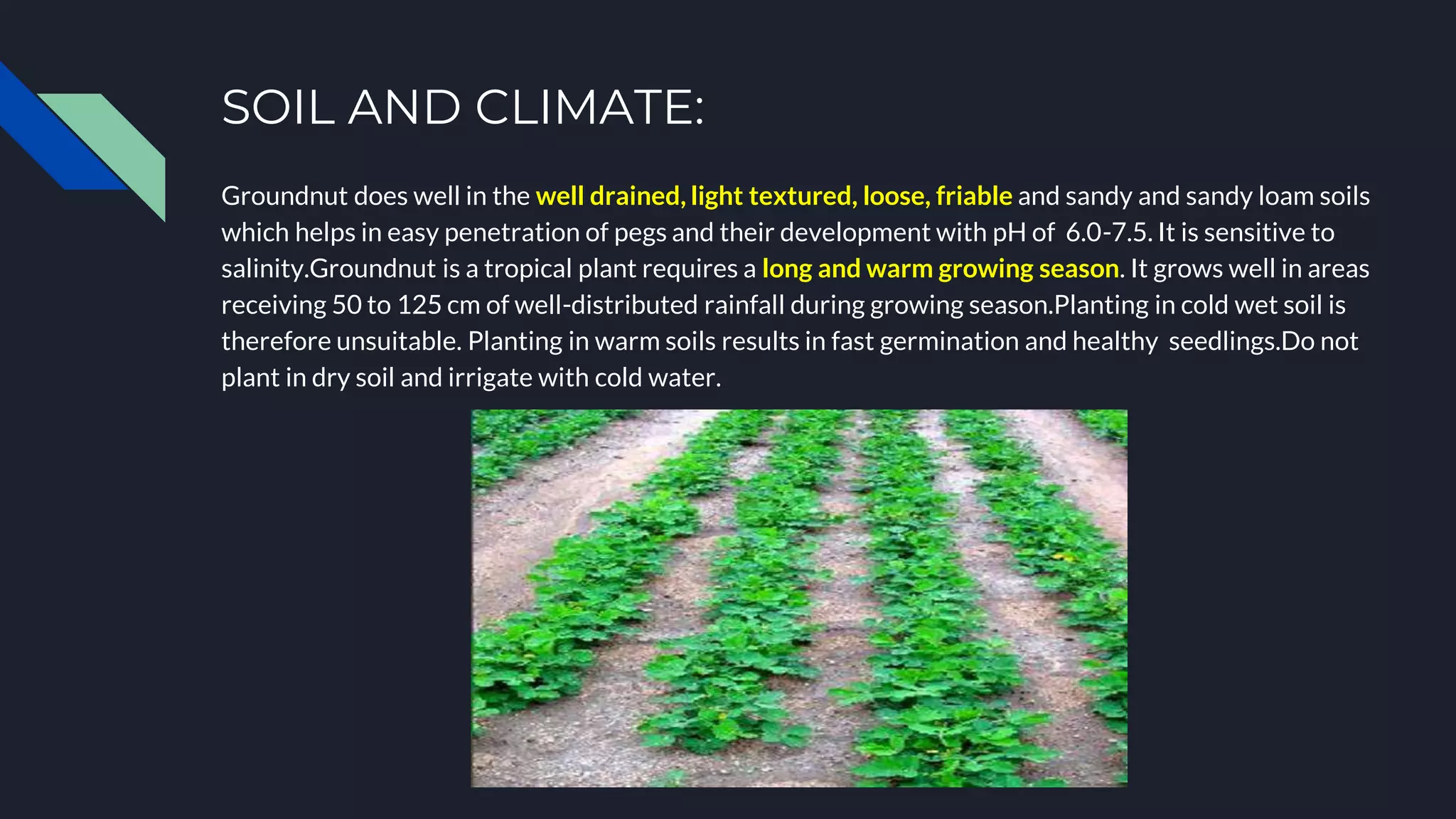 PRODUCTION TECHNOLOGY OF GROUNDNUT | PPTX