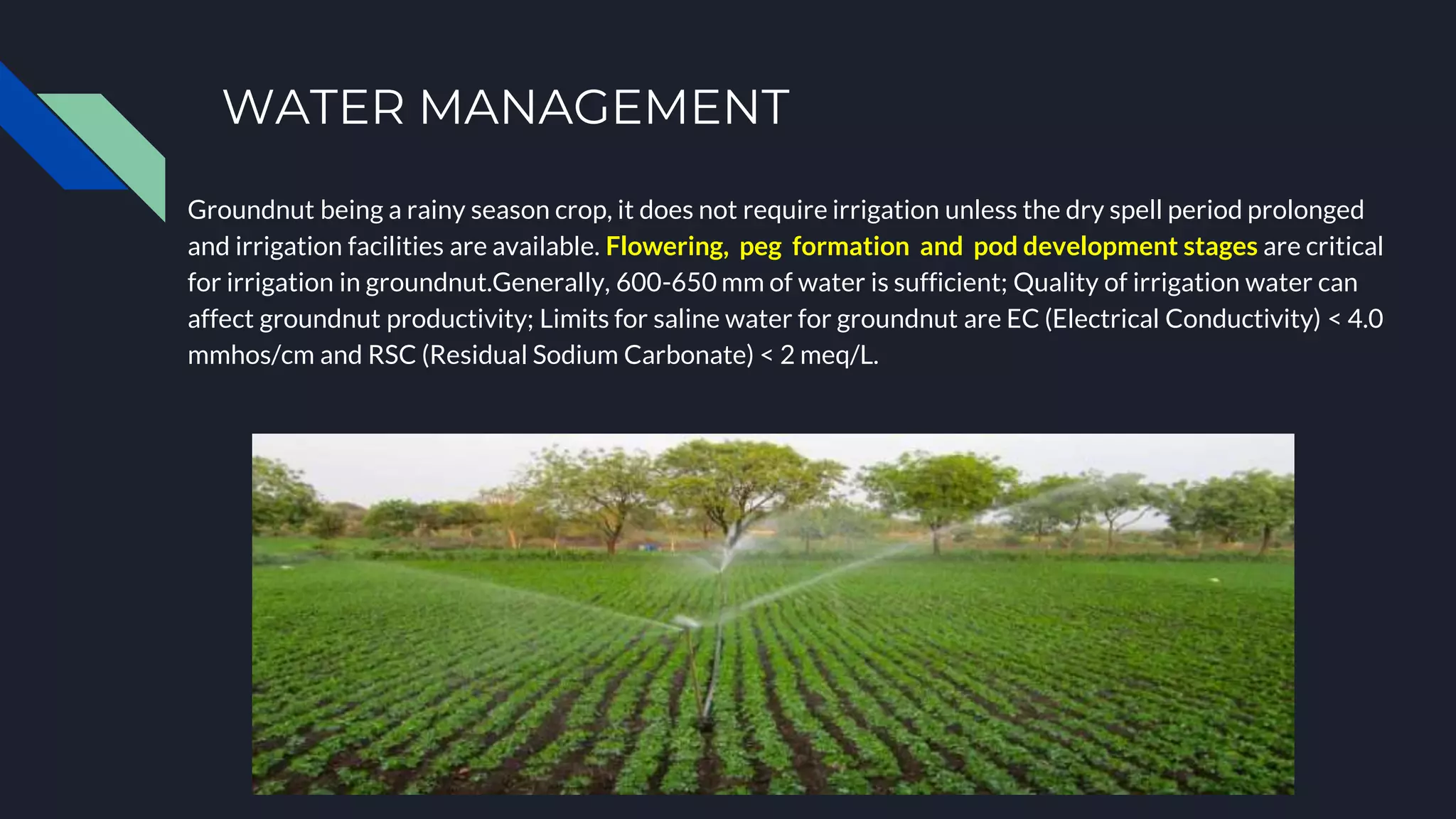 PRODUCTION TECHNOLOGY OF GROUNDNUT | PPTX