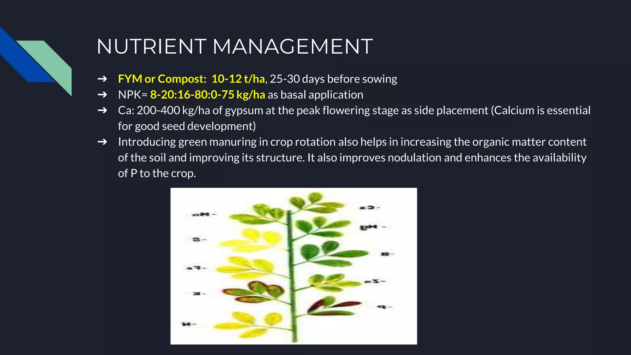 PRODUCTION TECHNOLOGY OF GROUNDNUT | PPTX
