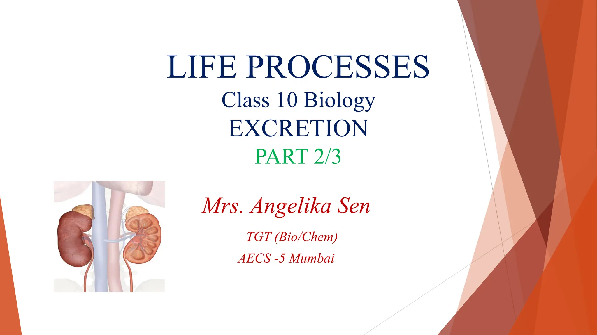 X_Life_processes_Excretion__Module_2_of_3.pdf