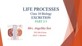 X_Life_processes_Excretion__Module_2_of_3.pdf