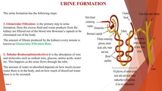 X_Life_processes_Excretion__Module_2_of_3.pdf