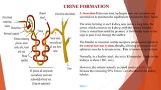 X_Life_processes_Excretion__Module_2_of_3.pdf