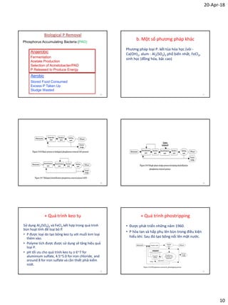 Xử lý Nito và Photpho trong nước thải.pdf