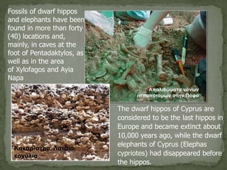 Xlorida panida cyprus(english) | PPT