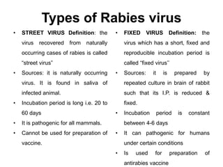 Rabies | PPTX