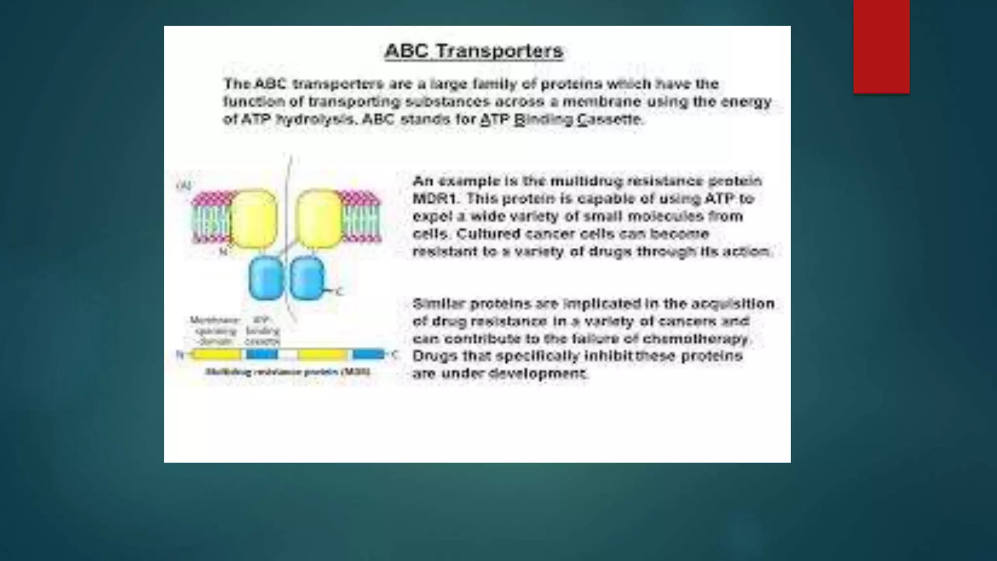 Bacterial transport system | PPTX