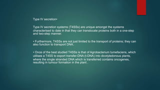 Bacterial transport system | PPTX