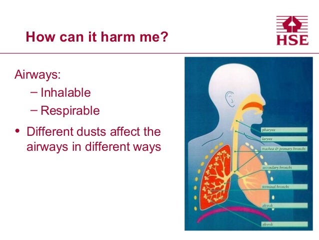 Xmas dust presentation