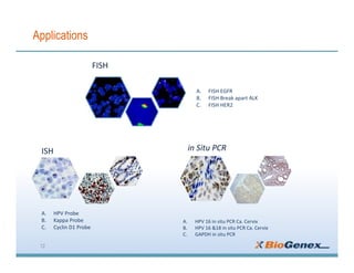 Fluoresence In Situ Hybridization Workflow Solution - Xmatrix NANO ...