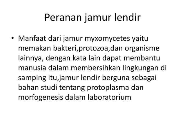 Xmia13 jamur lendir | PPT