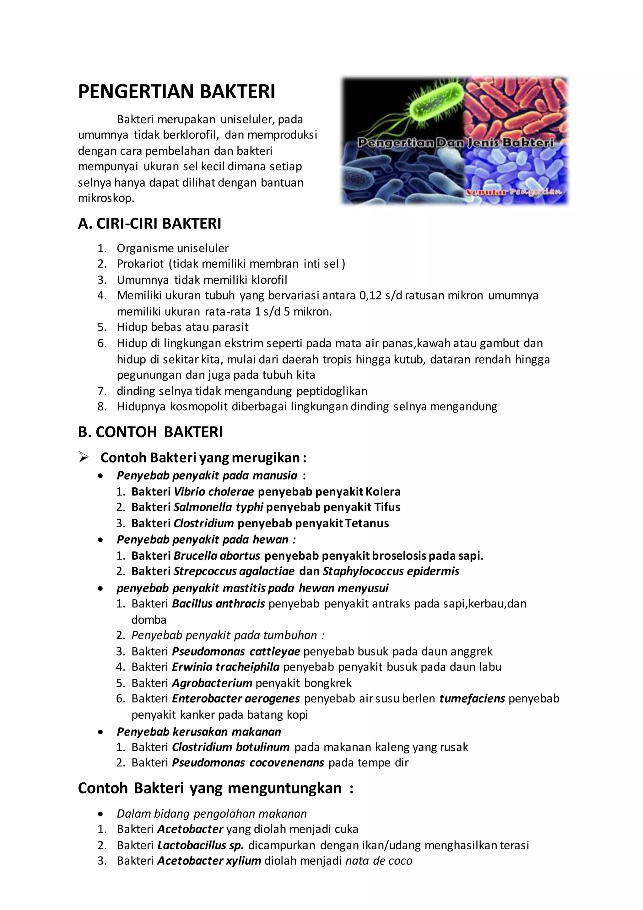 Archeabacteria dan Bakteri | DOCX