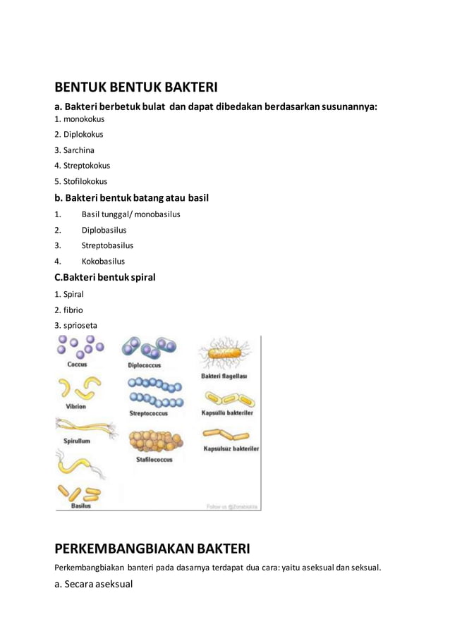 Archeabacteria dan Bakteri | PDF