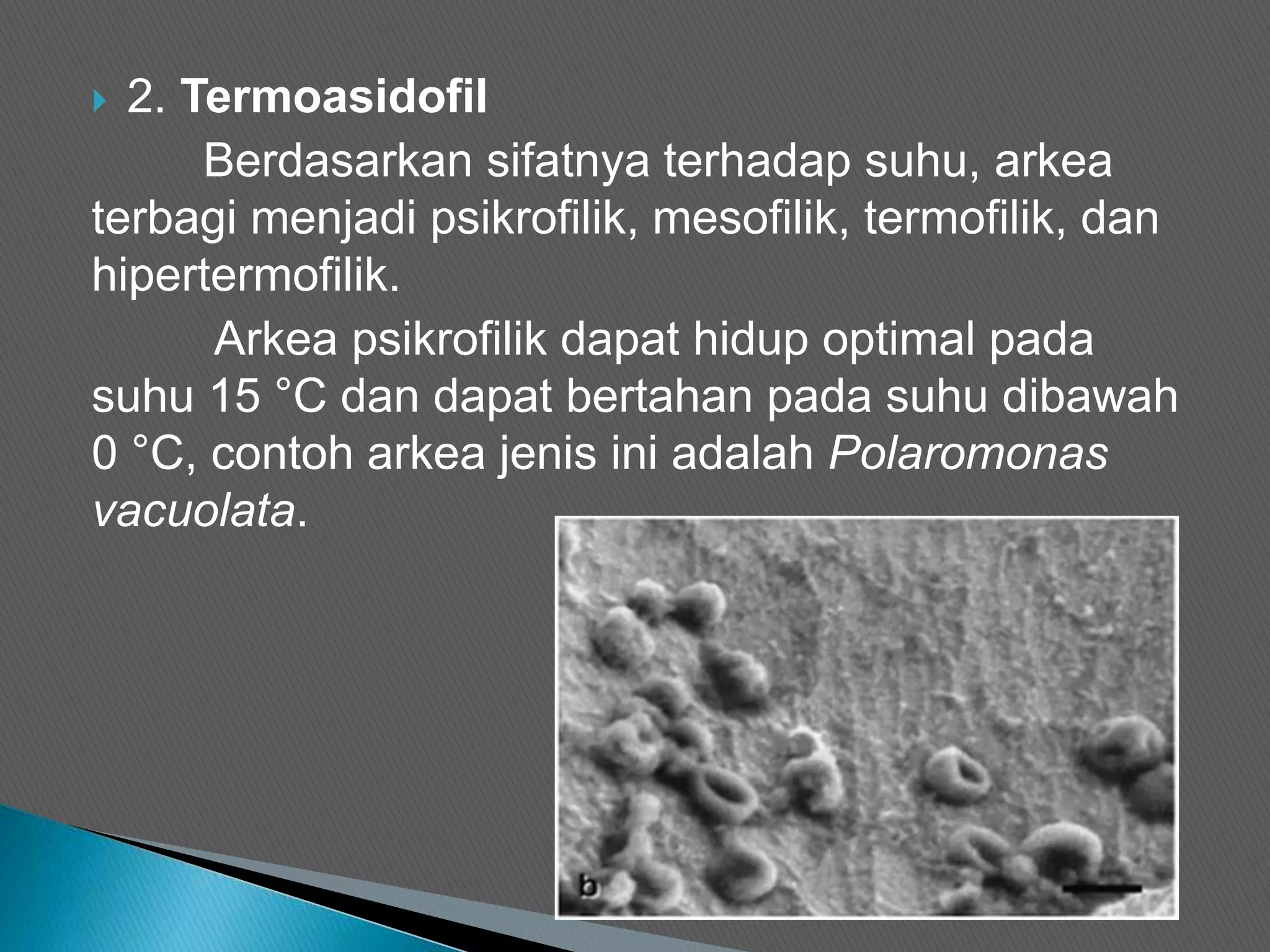 Archeabacteria dan Bakteri | PPTX