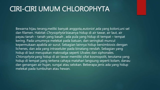 Xmia4 chlorophyta | PPTX