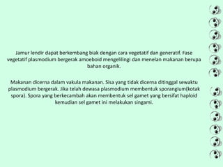 Xmia4 jamur lendir | PPTX