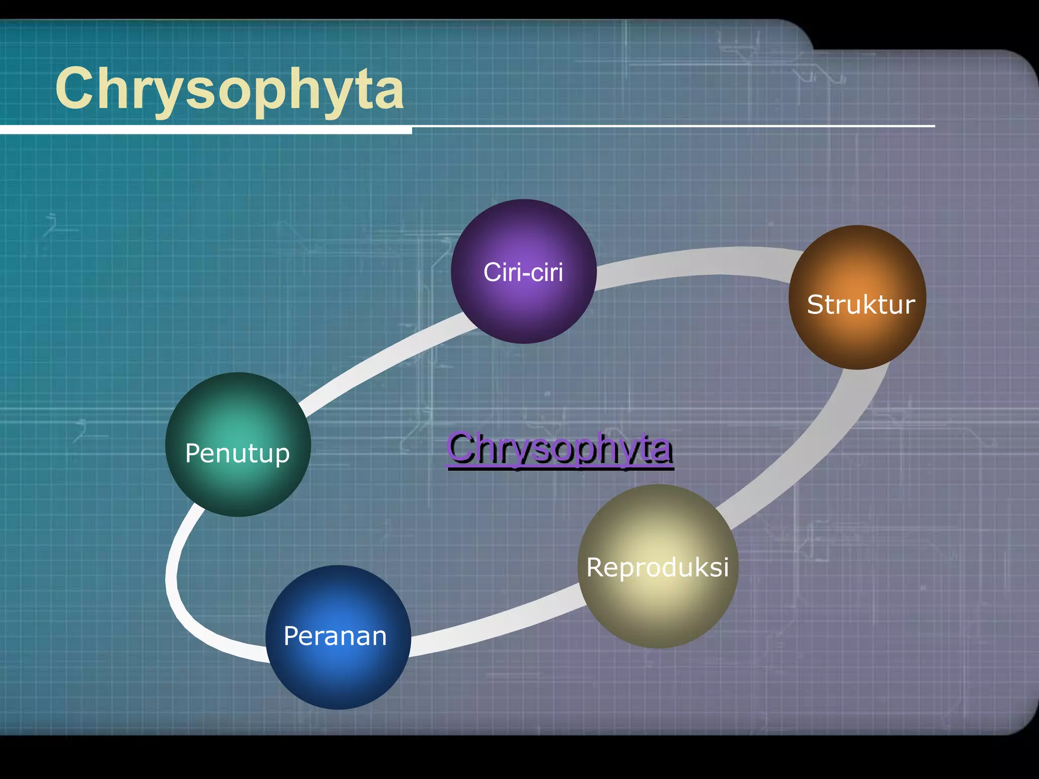 Xmia6 chrysophyta | PPTX