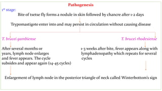 Trypanosoma | PPTX
