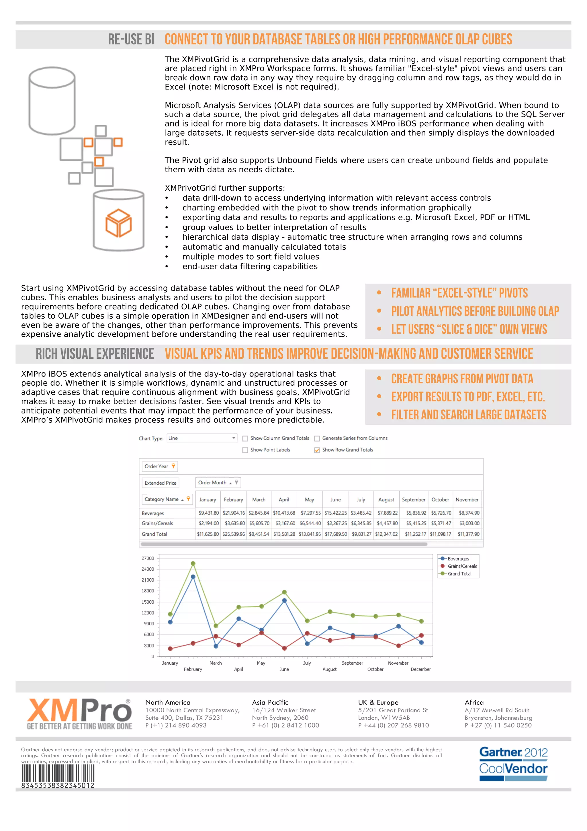 XMPro PivotGrid | PDF